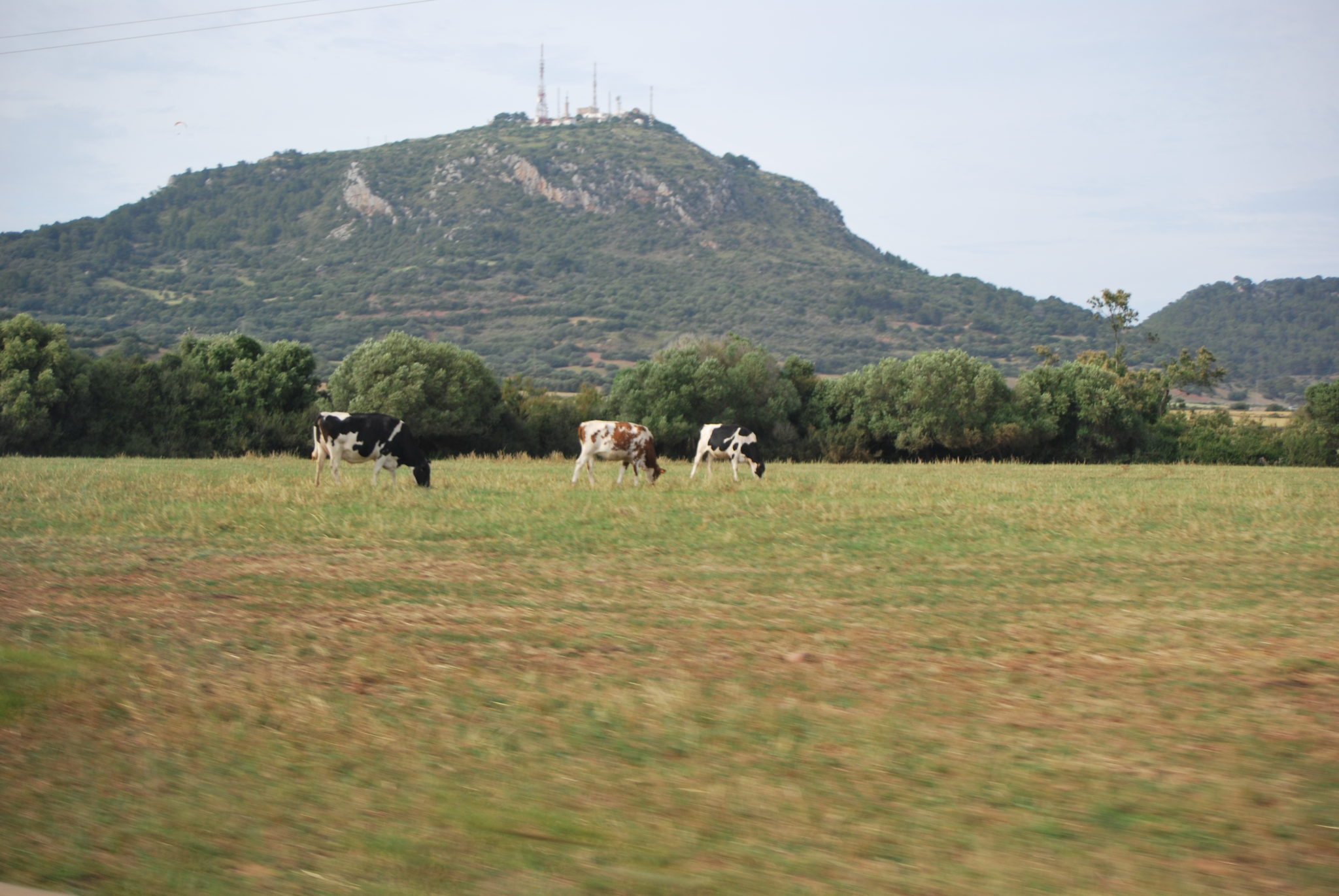 Es Mercadal - Der Ort am Fuße des Monte Toro - Menorca Reisen: Infos ...
